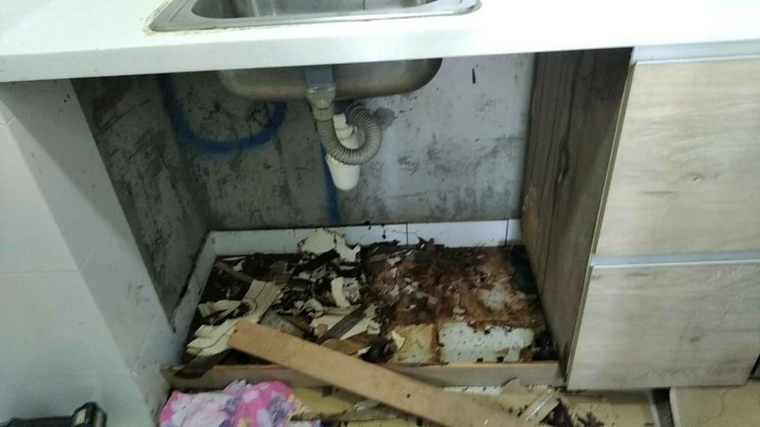 Repair of Rotten Kitchen Sink and Bathroom Vanity Cabinet, Home ...
