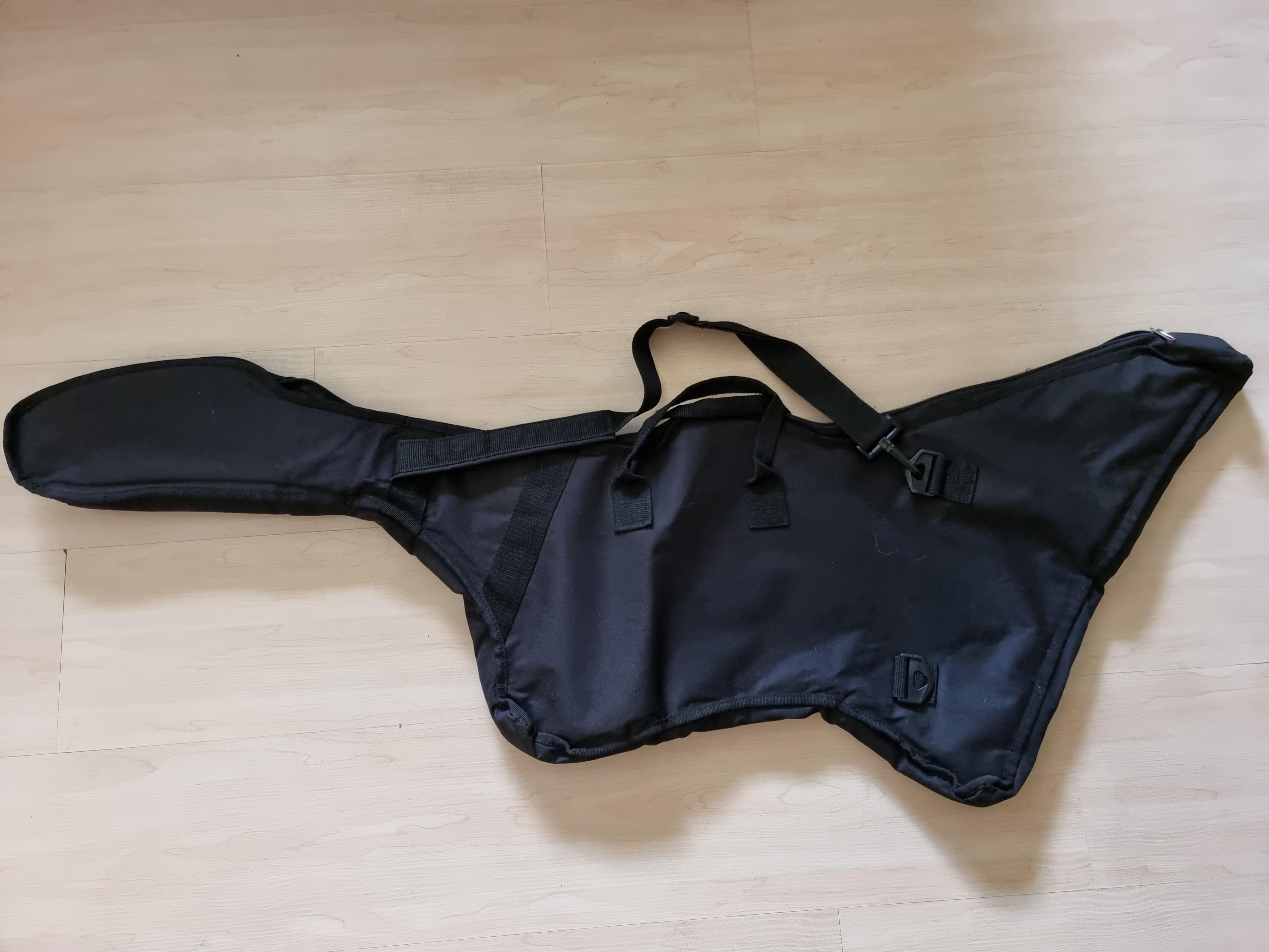 ESP LTD EX-400 Explorer electric guitar with ESP hardcase and softcase ...