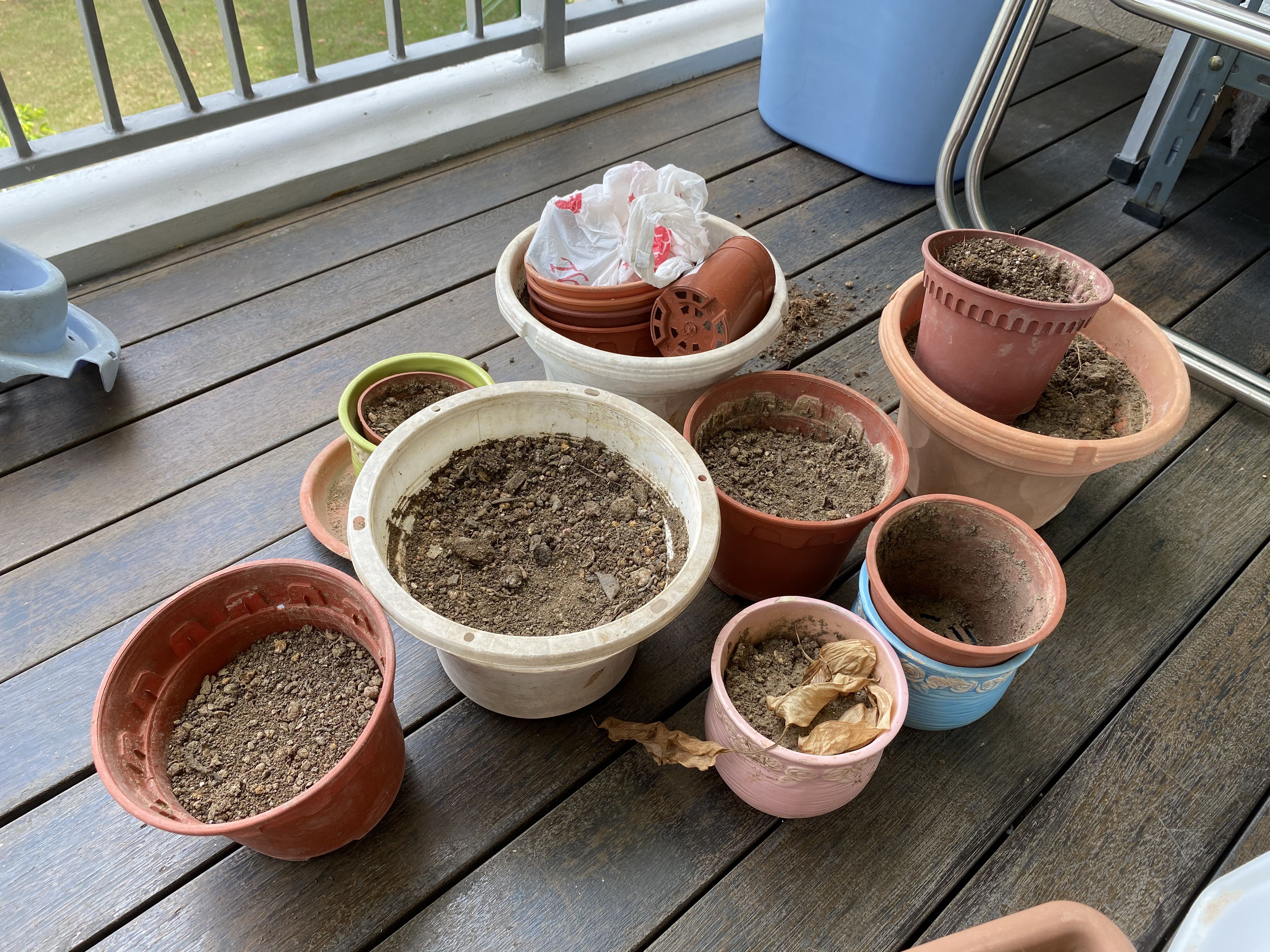 Free pots, Furniture & Home Living, Gardening, Pots & Planters on Carousell