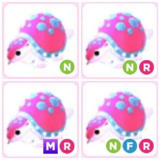 Adopt me roblox pets, Toys & Games, Video Gaming, In-Game Products on ...