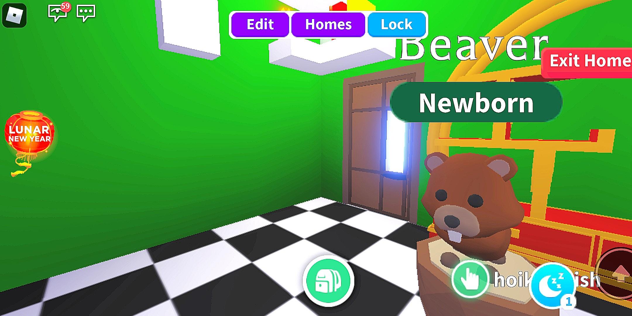 Roblox Adopt Me beaver, 其他, 其他 - Carousell