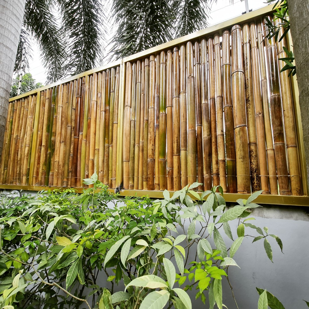 Modular Bamboo Fence Panel, Furniture & Home Living, Gardening ...