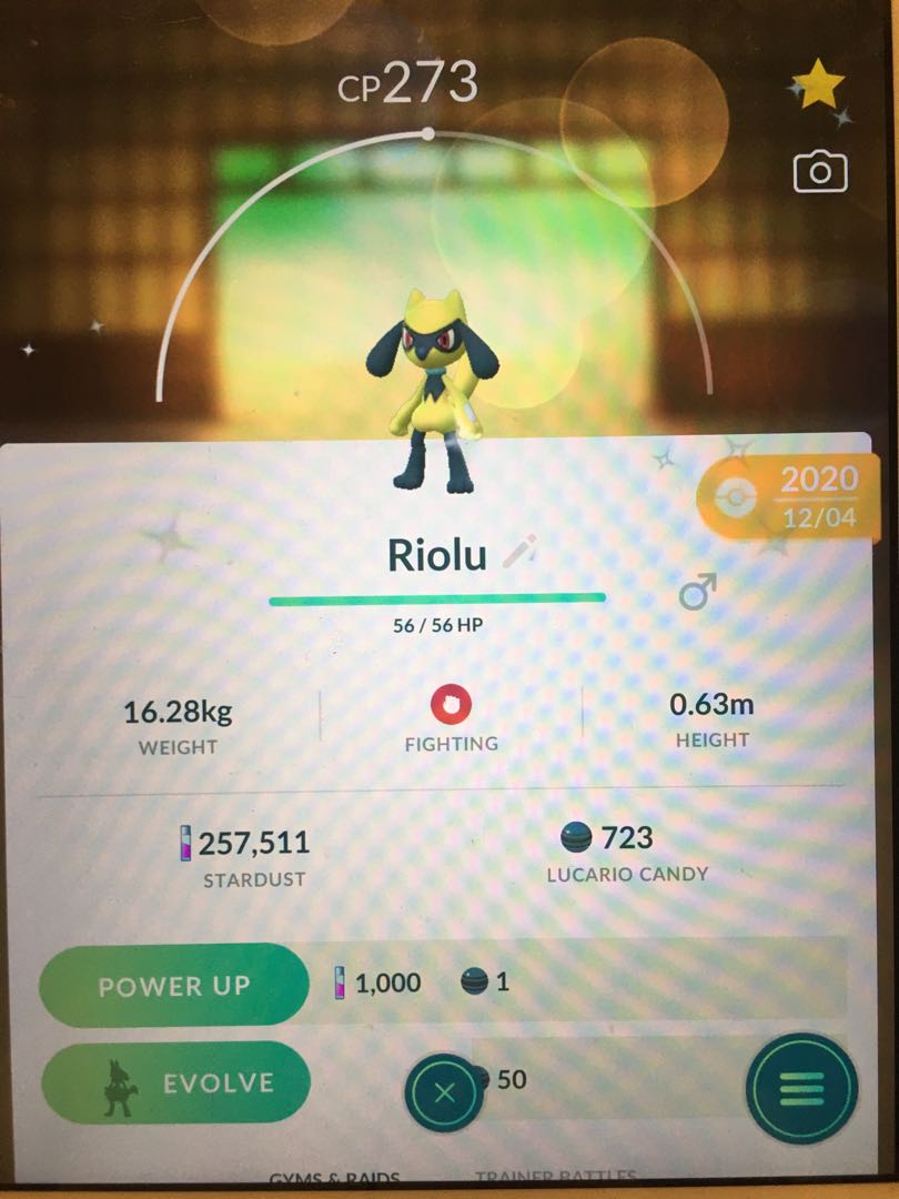 Shiny Riolu, Video Gaming, Gaming Accessories, Game Gift Cards ...