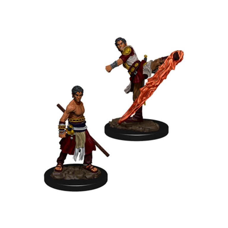 Half Elf Monk Male - Dungeons & Dragons Miniatures, Hobbies & Toys ...