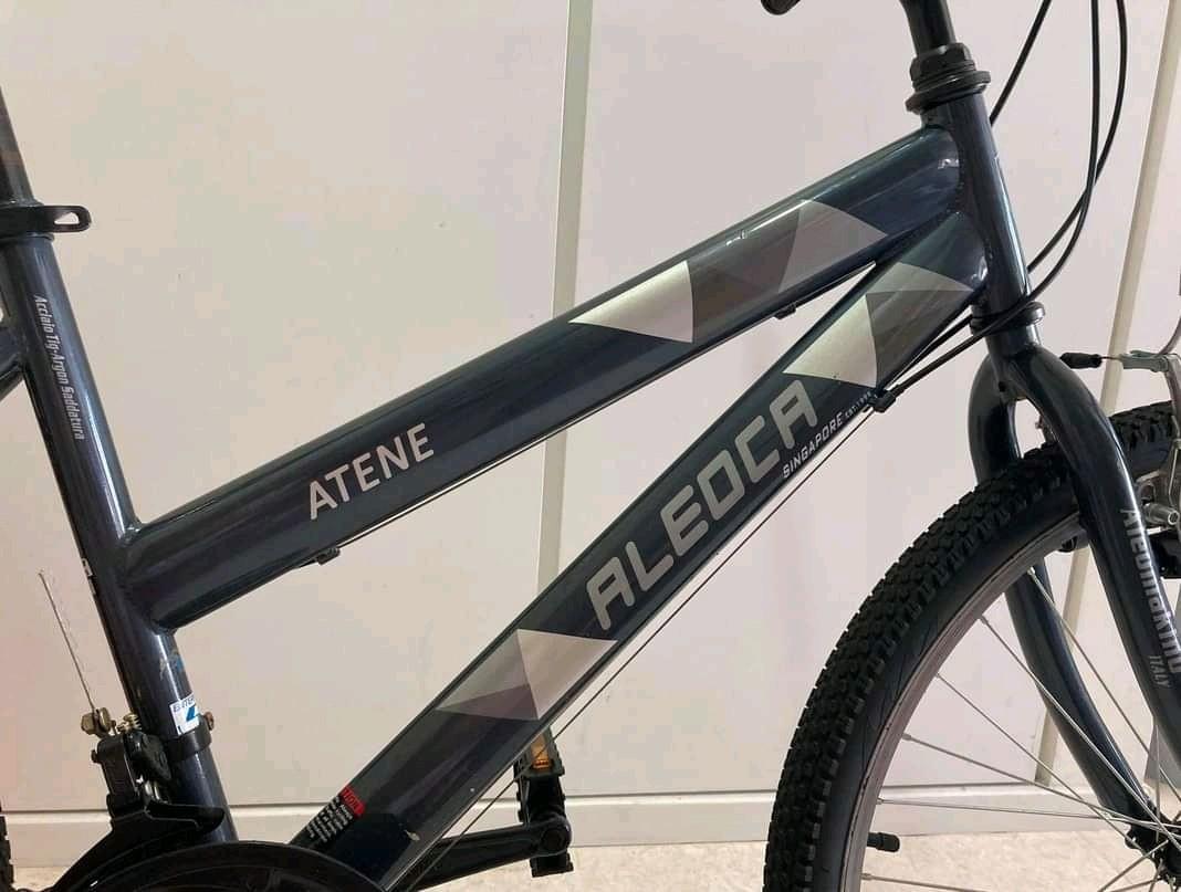 Mountain Bike Hi-Ten steel 24in with bike stand, bell and lock, Sports ...