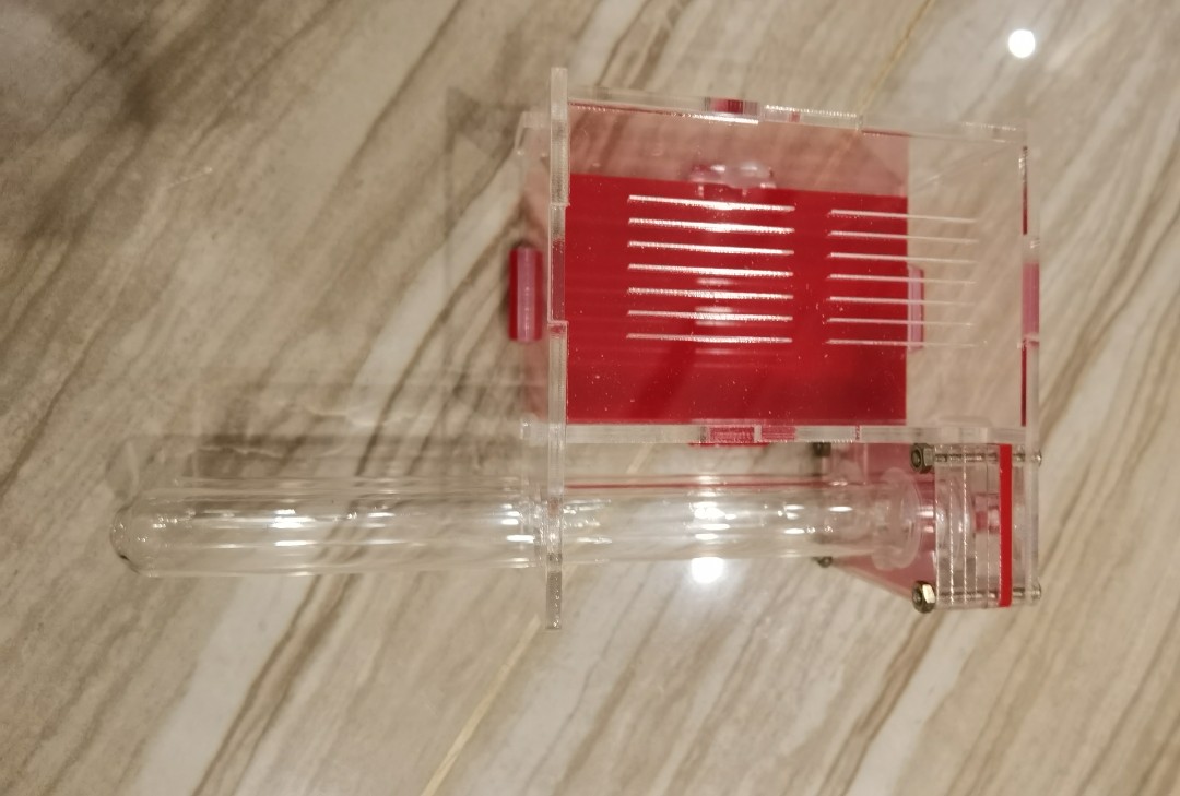 Test tube Formicarium, Ant Queen, Ant Colony, Pet Supplies, Homes ...
