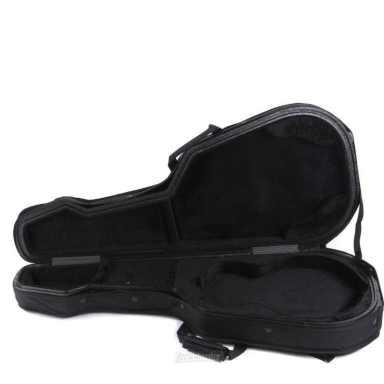 Seagull- Tric Case for Classical Guitar (038688), Hobbies & Toys, Music ...