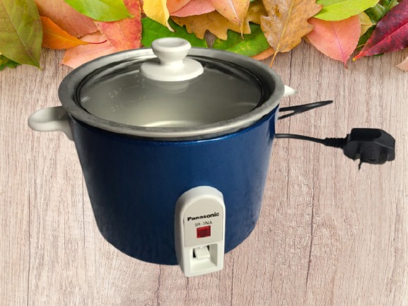 Panasonic mini ricecooker, TV & Home Appliances, Kitchen Appliances ...