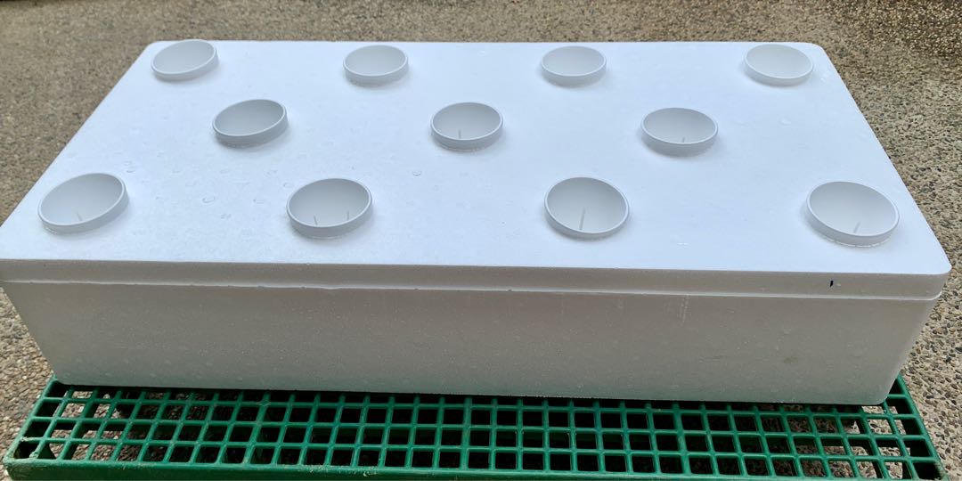 Hydroponics Box and Styro Cups, Furniture & Home Living, Gardening ...