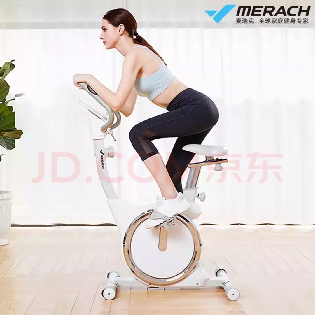 Merach Exercise bike, Sports Equipment, Exercise & Fitness, Cardio ...