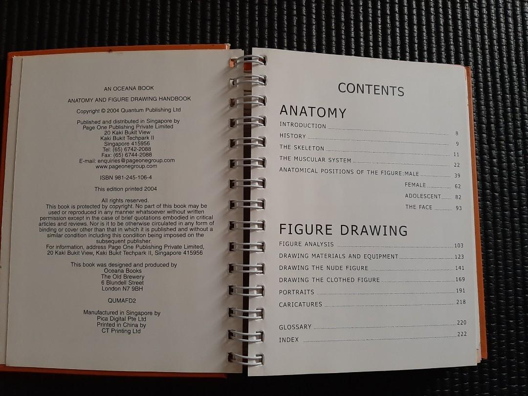 Anatomy & Figure Drawing Handbook, Hobbies & Toys, Books & Magazines ...