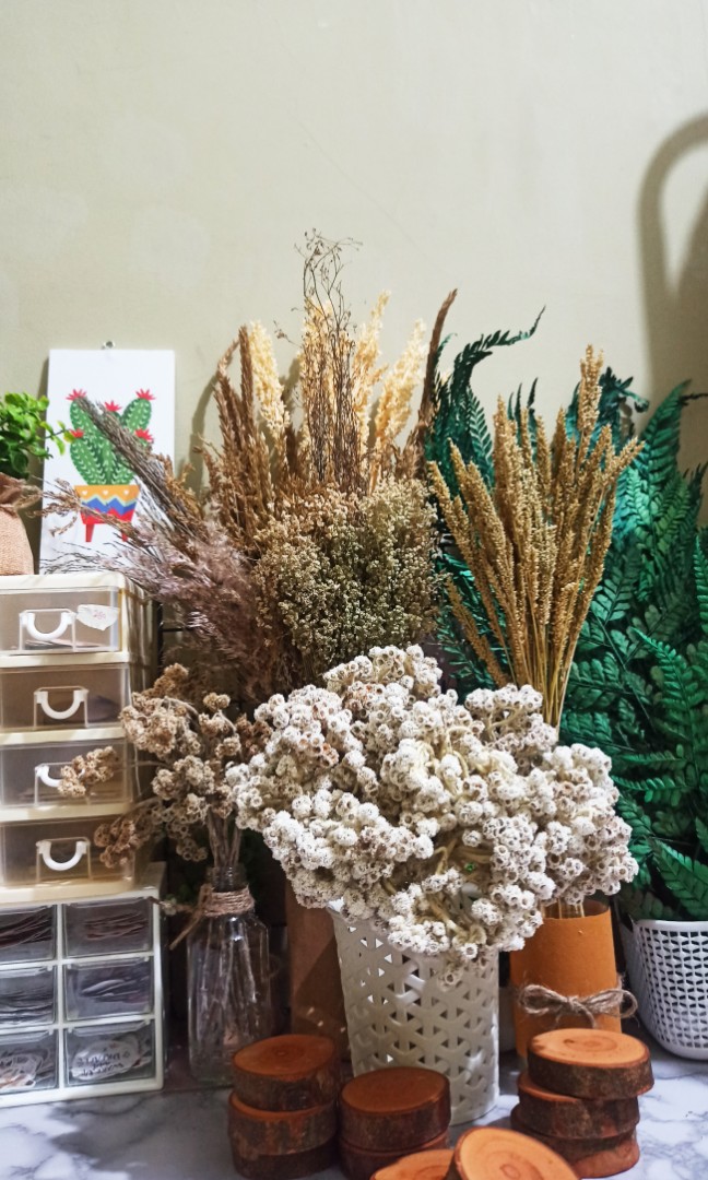 Dried flower / bunga kering aesthetic / edelweis, Perkebunan di Carousell