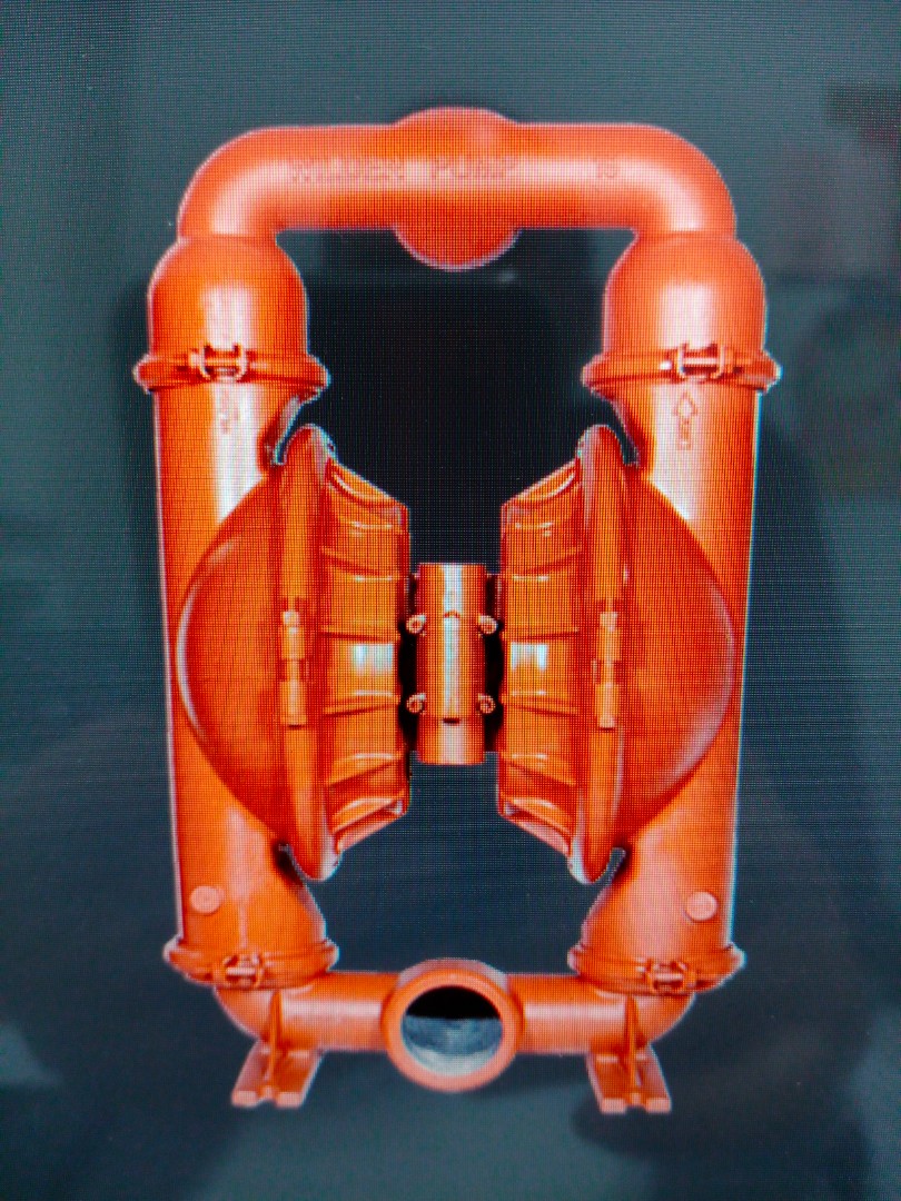 T15 wilden pump, Everything Else on Carousell