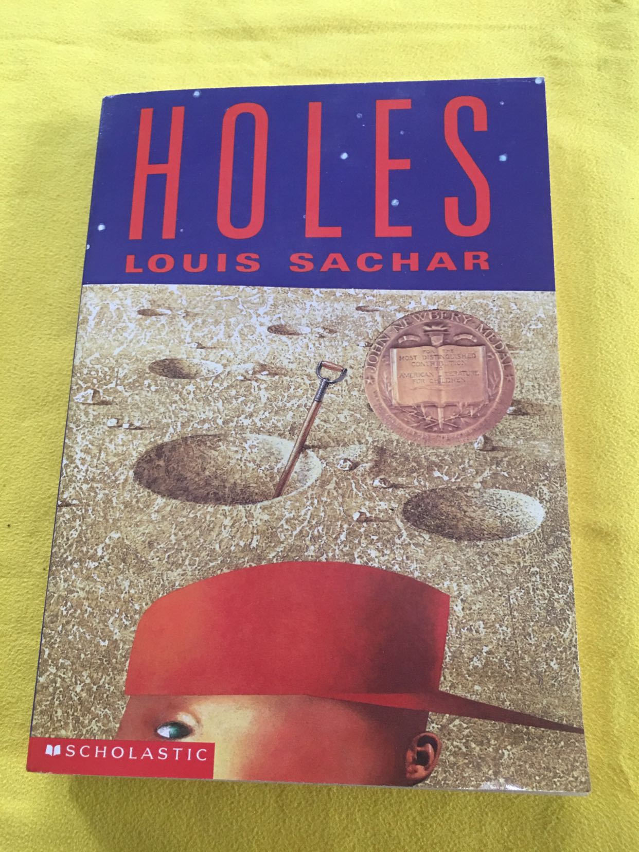 Hole Louis Sachar - New, Hobbies & Toys, Books & Magazines, Children's ...