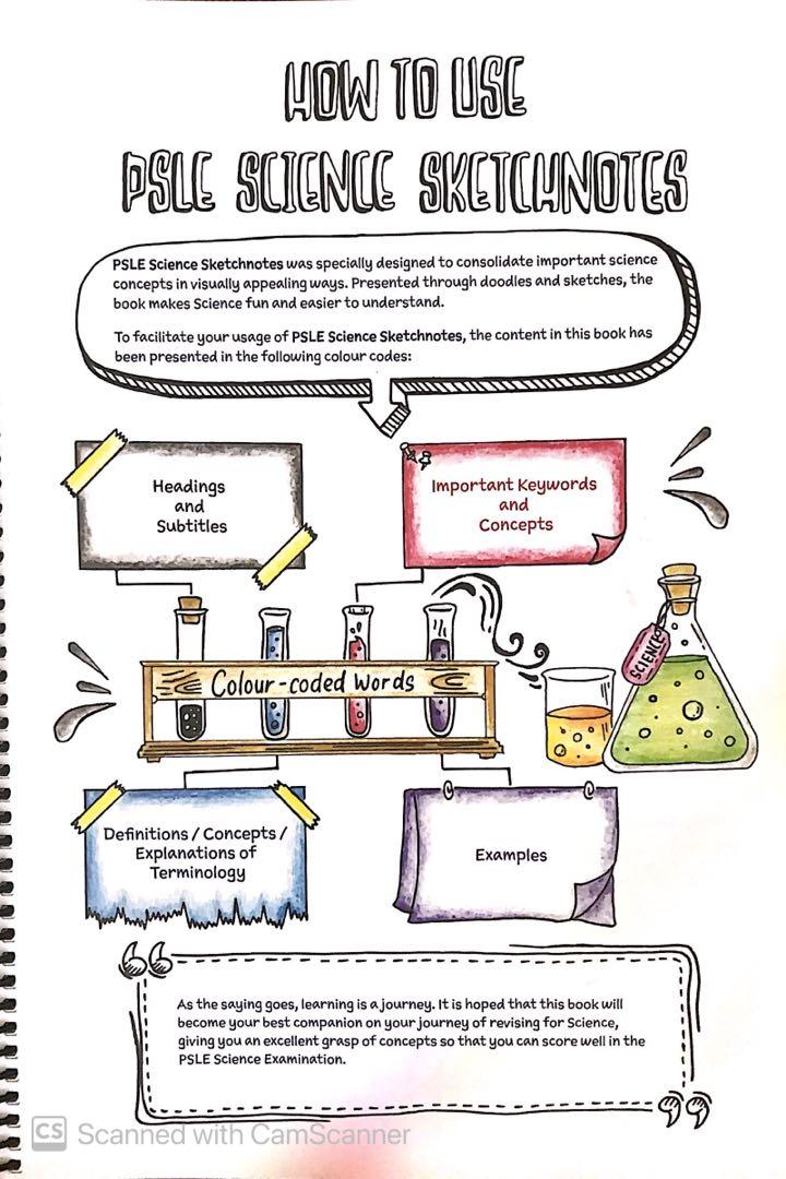 PSLE Science Sketch Notes, Hobbies & Toys, Books & Magazines ...
