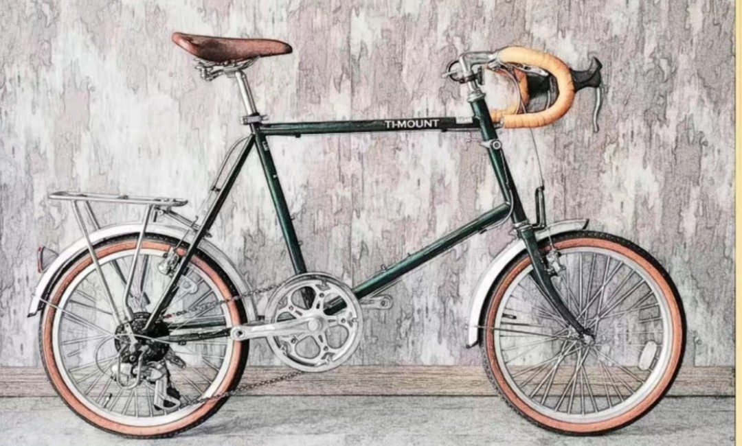 Ti mount 20 inch mini velo road bike 6 speed, Sports Equipment ...