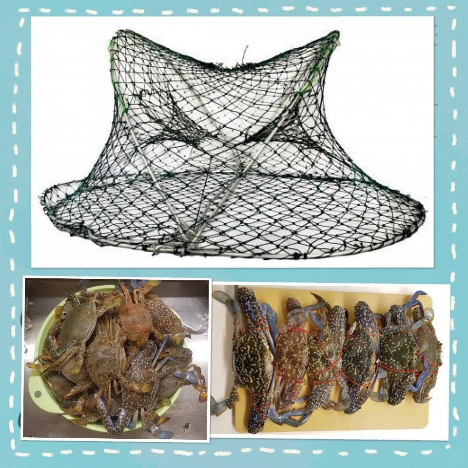 Crabbing crab net / cage, Everything Else on Carousell