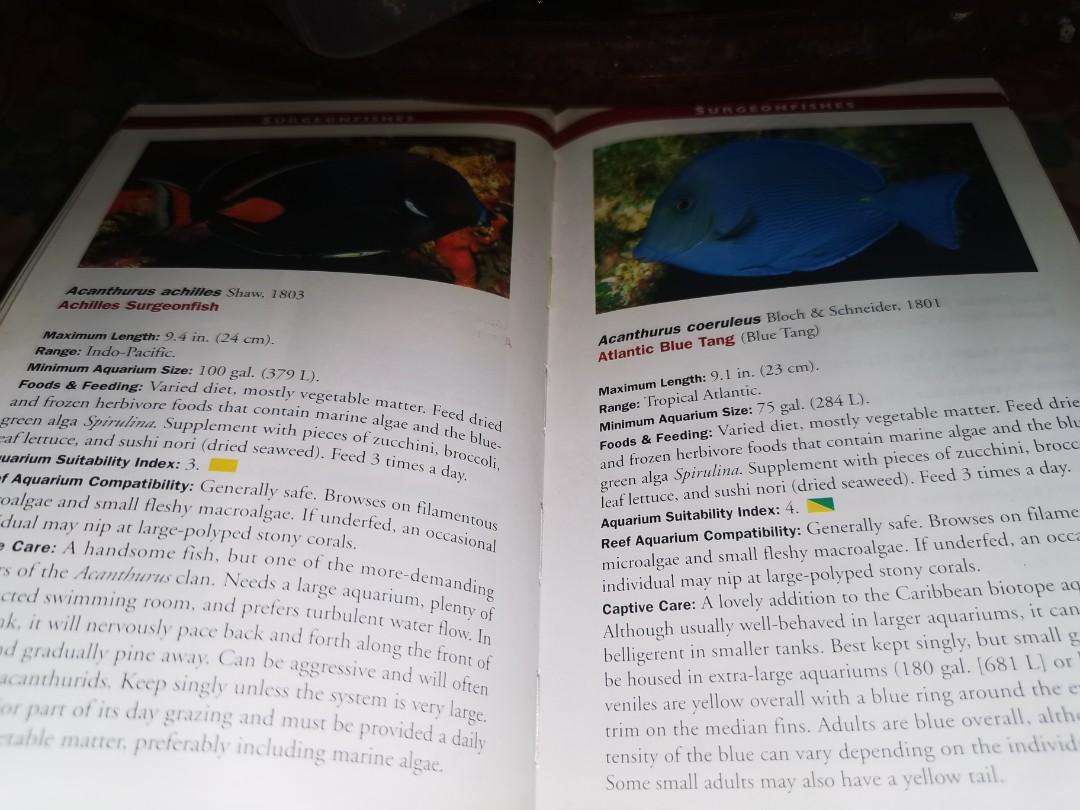 Marine fish guide, Hobbies & Toys, Books & Magazines, Textbooks on ...