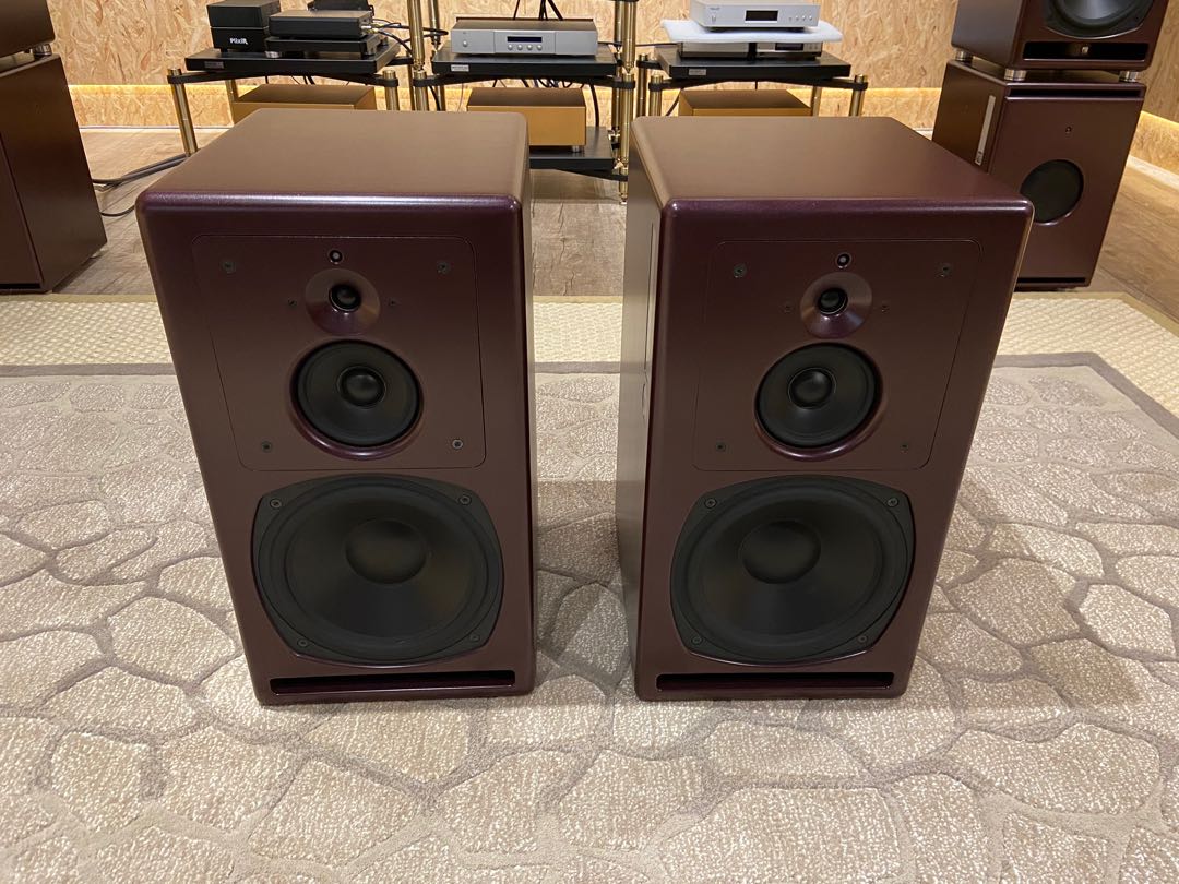 PSI A25M Swiss made active speaker., Audio, Other Audio Equipment on ...