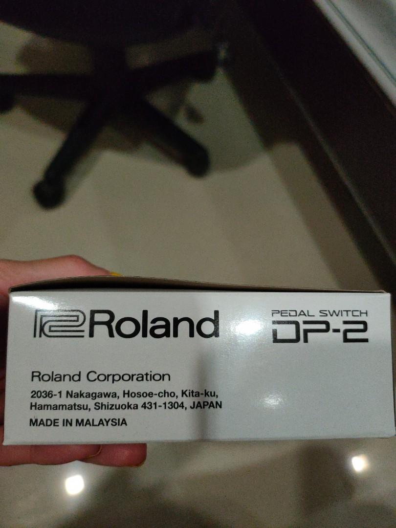 Roland dp-2 pedal switch, Hobbies & Toys, Music & Media, Music ...