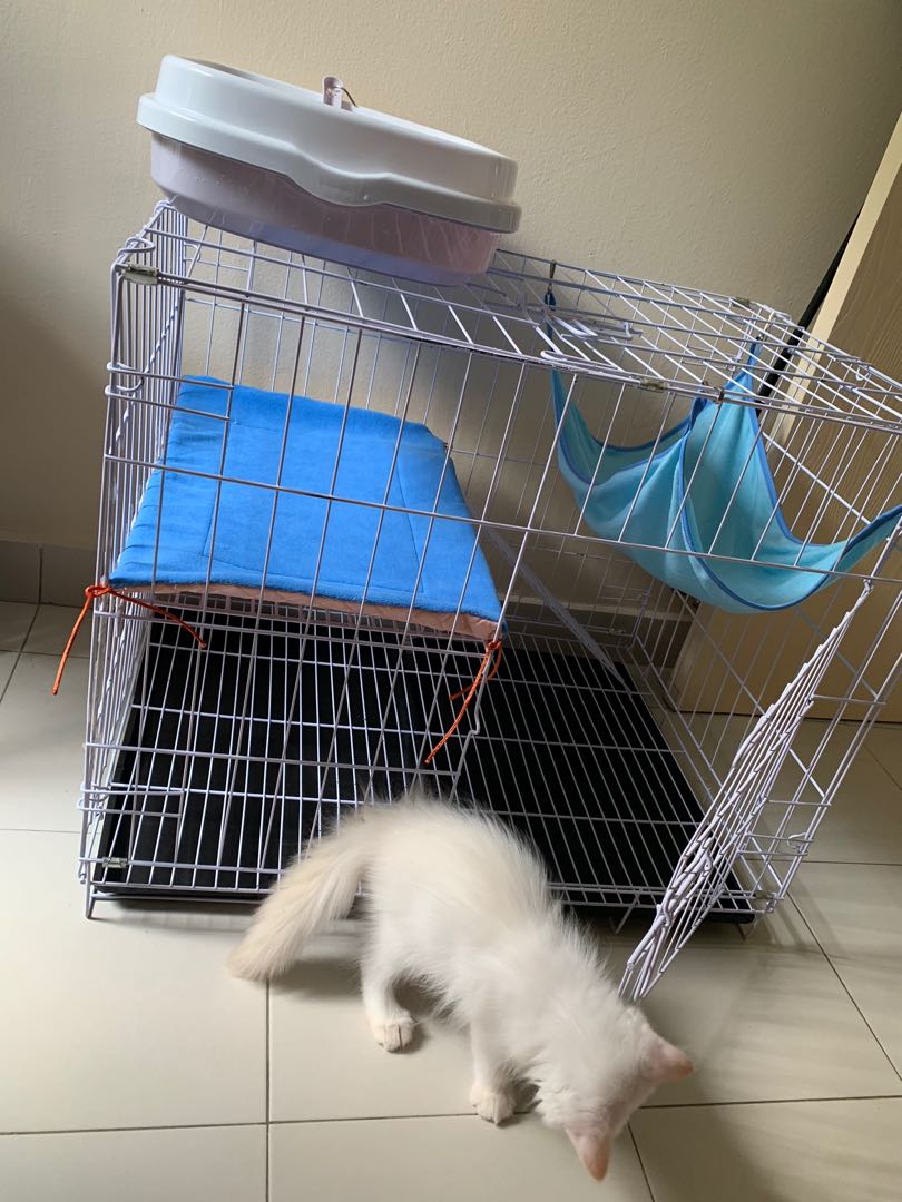 2 Tier Cage, Pet Supplies, Homes & Other Pet Accessories on Carousell