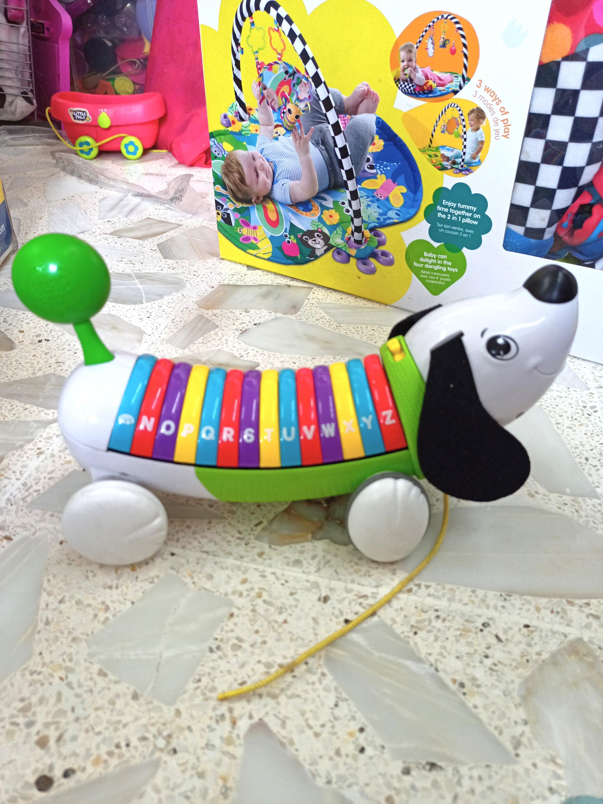 Leap Frog alphabet phonics dog, Hobbies & Toys, Toys & Games on Carousell