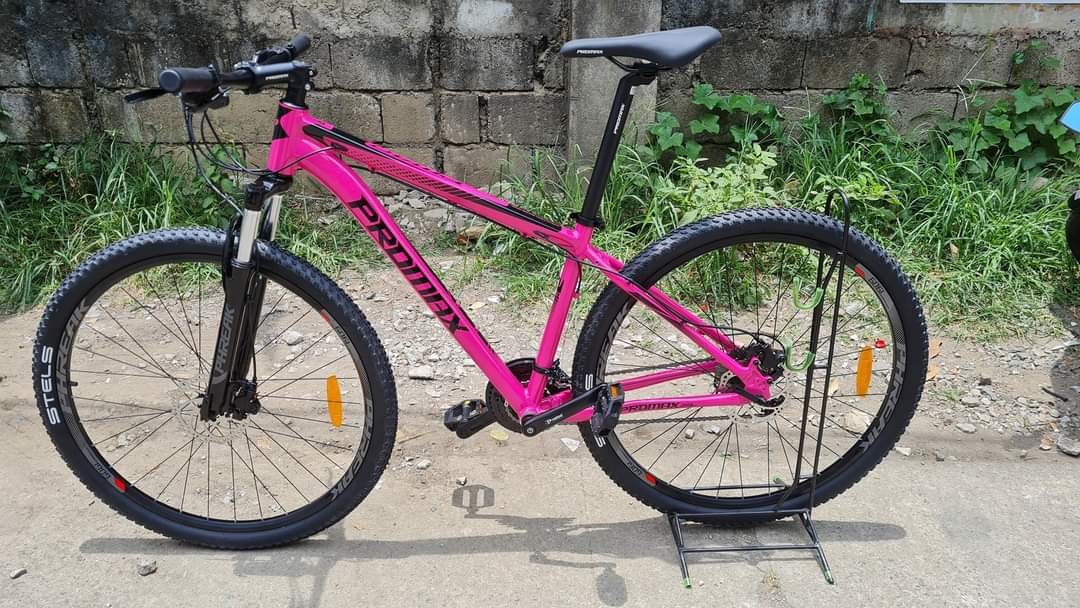 PROMAX PM40 29er, Sports Equipment, Bicycles & Parts, Bicycles on Carousell
