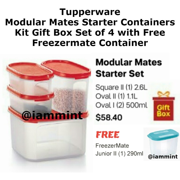 Tupperware Modular Mates Starter Containers Kit Gift Box Set of 4 with ...