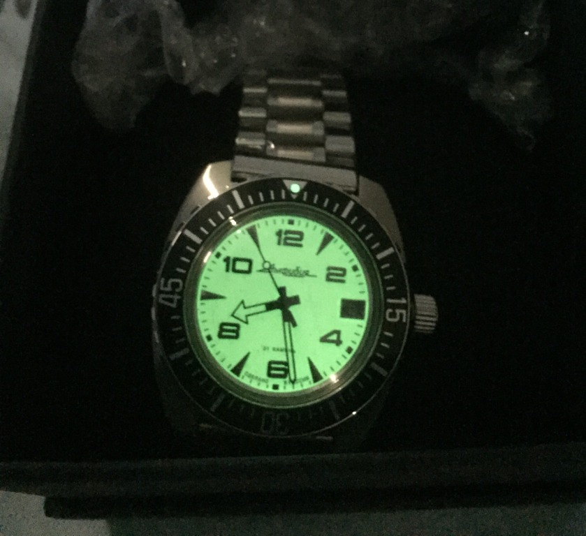 Vostok Watch Amphibian - Automatic Dive watch [Pre-order], Men's ...