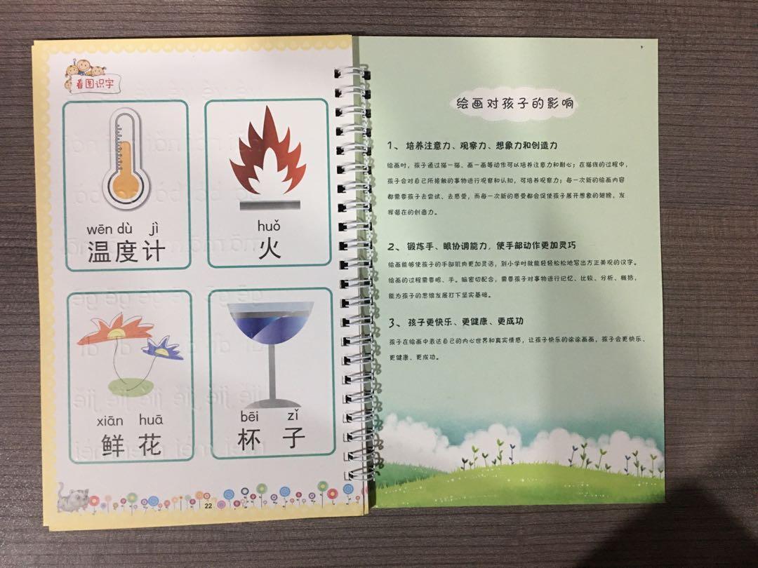 Learn Han Yu Pin Yin, Books & Stationery, Children's Books on Carousell