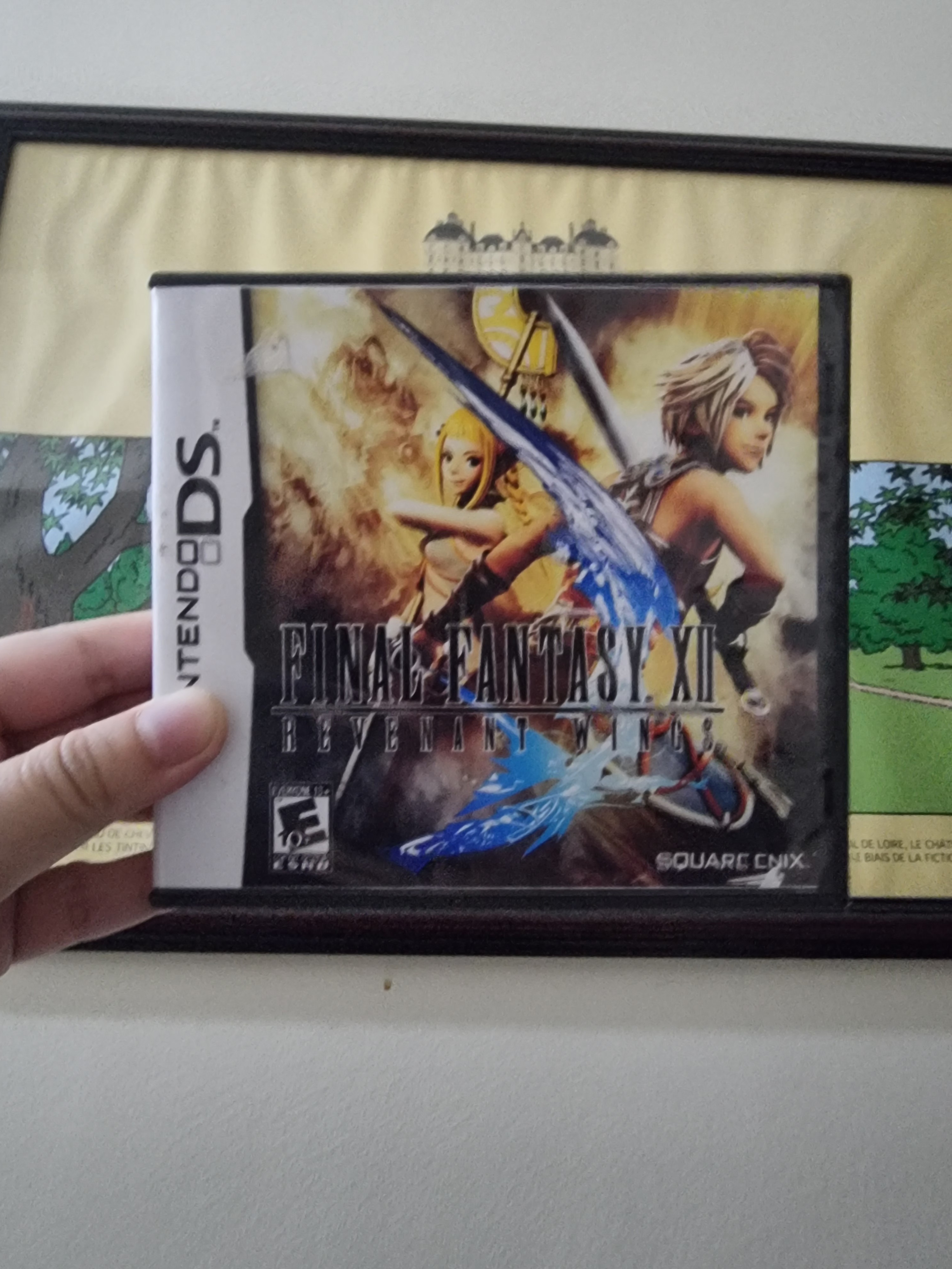 Nintendo DS Final Fantasy XII Revenant Wings (Repro Case), Video Gaming ...