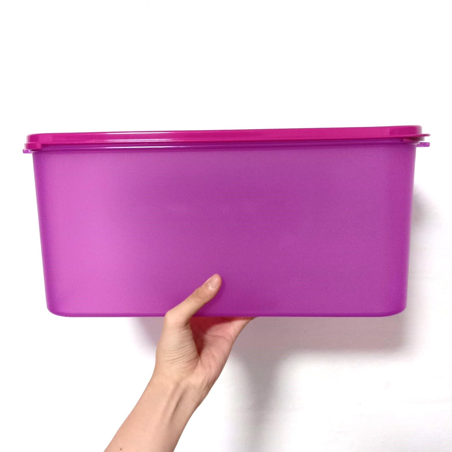 Tupperware 3.2L and 9L Shallow and Deep Carry All Rectangular Long ...