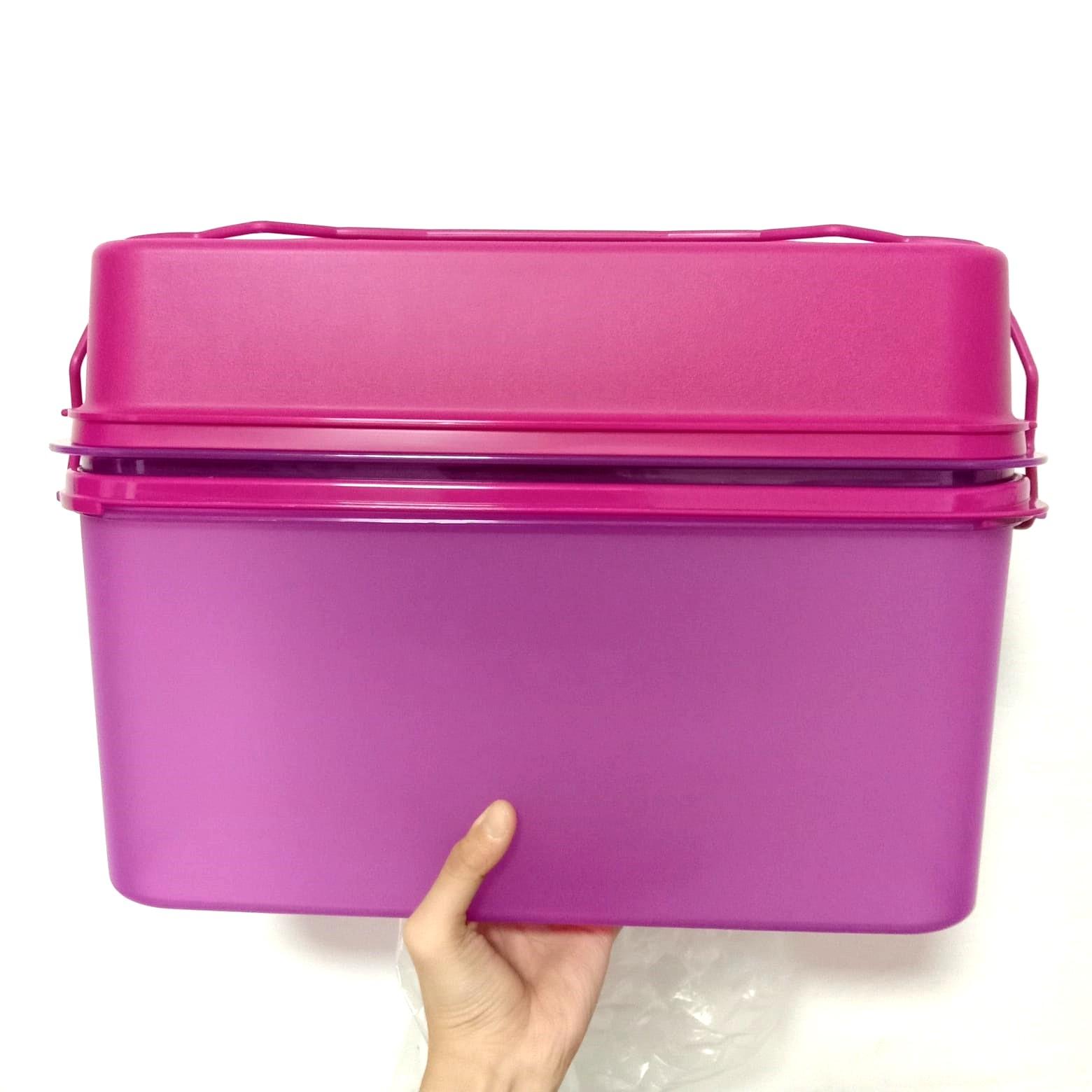 Tupperware 3.2L and 9L Shallow and Deep Carry All Rectangular Long ...