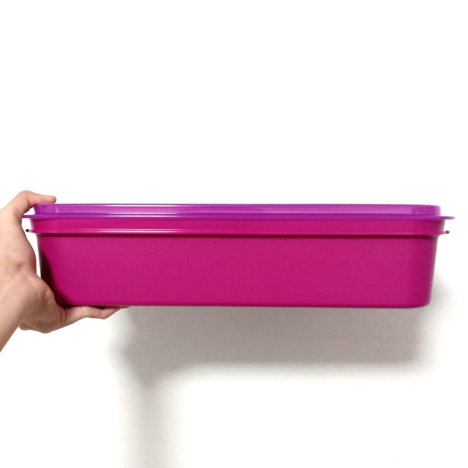 Tupperware 3.2L and 9L Shallow and Deep Carry All Rectangular Long ...