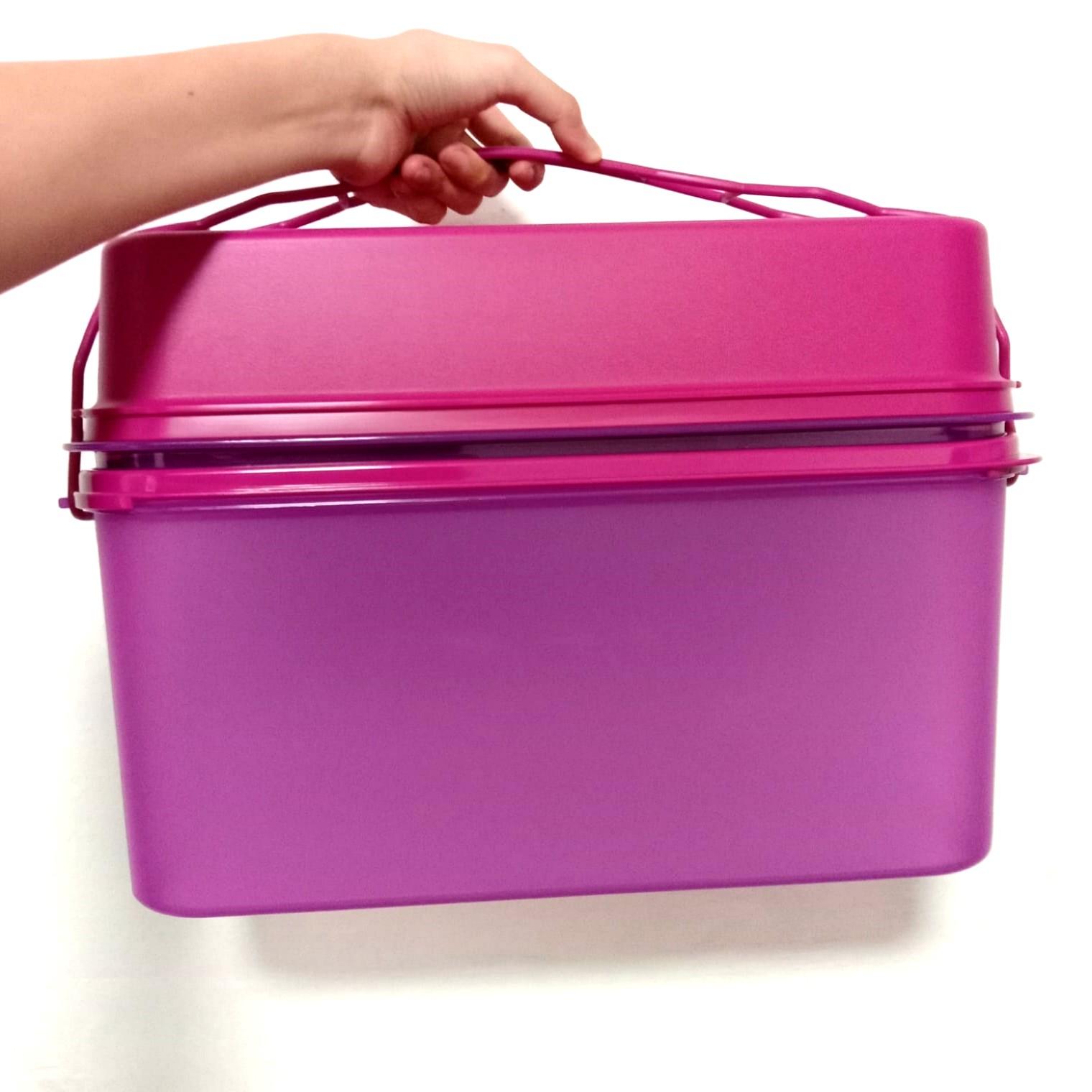 Tupperware 3.2L and 9L Shallow and Deep Carry All Rectangular Long ...