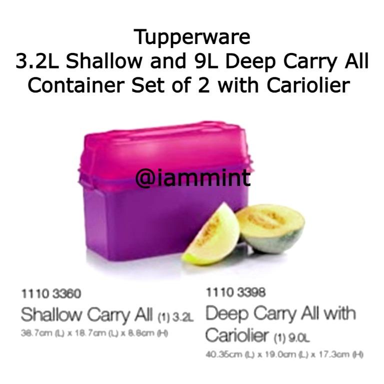 Tupperware 3.2L and 9L Shallow and Deep Carry All Rectangular Long ...