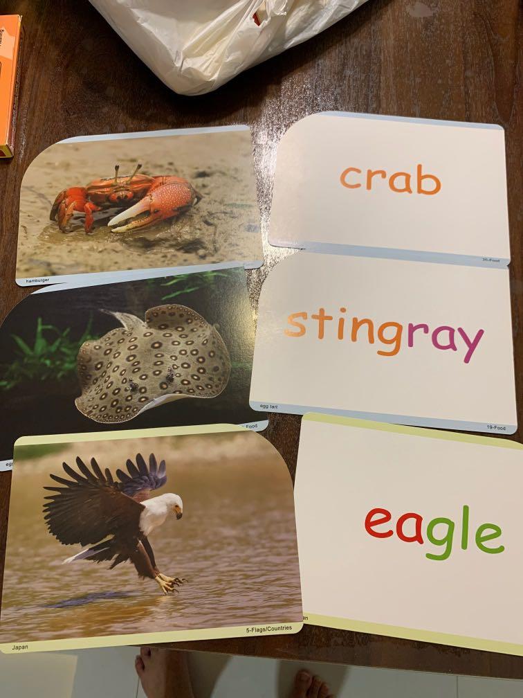 Wink to Learn English Flashcards Intermediate 3, Hobbies & Toys, Toys ...