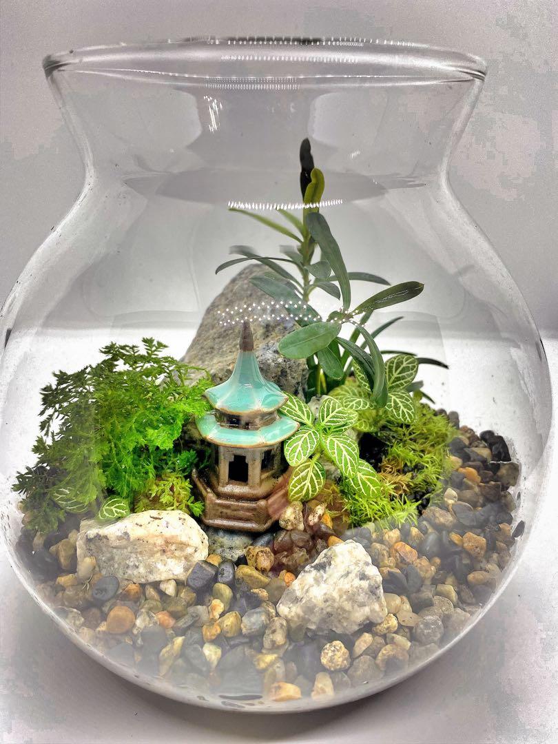 Chinese Pagoda Terrarium, Furniture & Home Living, Home Decor ...
