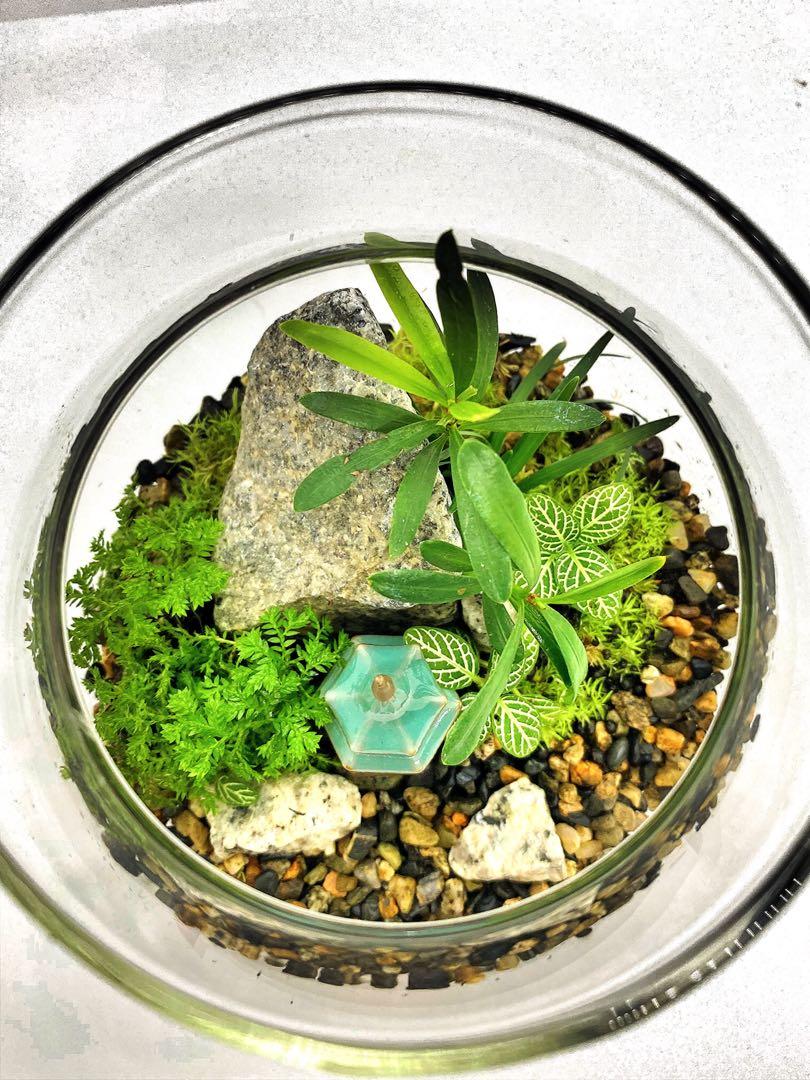 Chinese Pagoda Terrarium, Furniture & Home Living, Home Decor ...