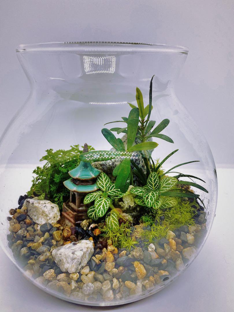 Chinese Pagoda Terrarium, Furniture & Home Living, Home Decor ...