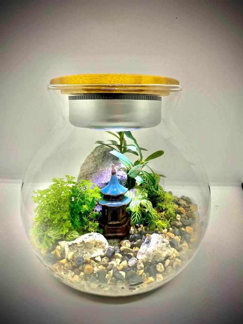 Chinese Pagoda Terrarium, Furniture & Home Living, Home Decor ...