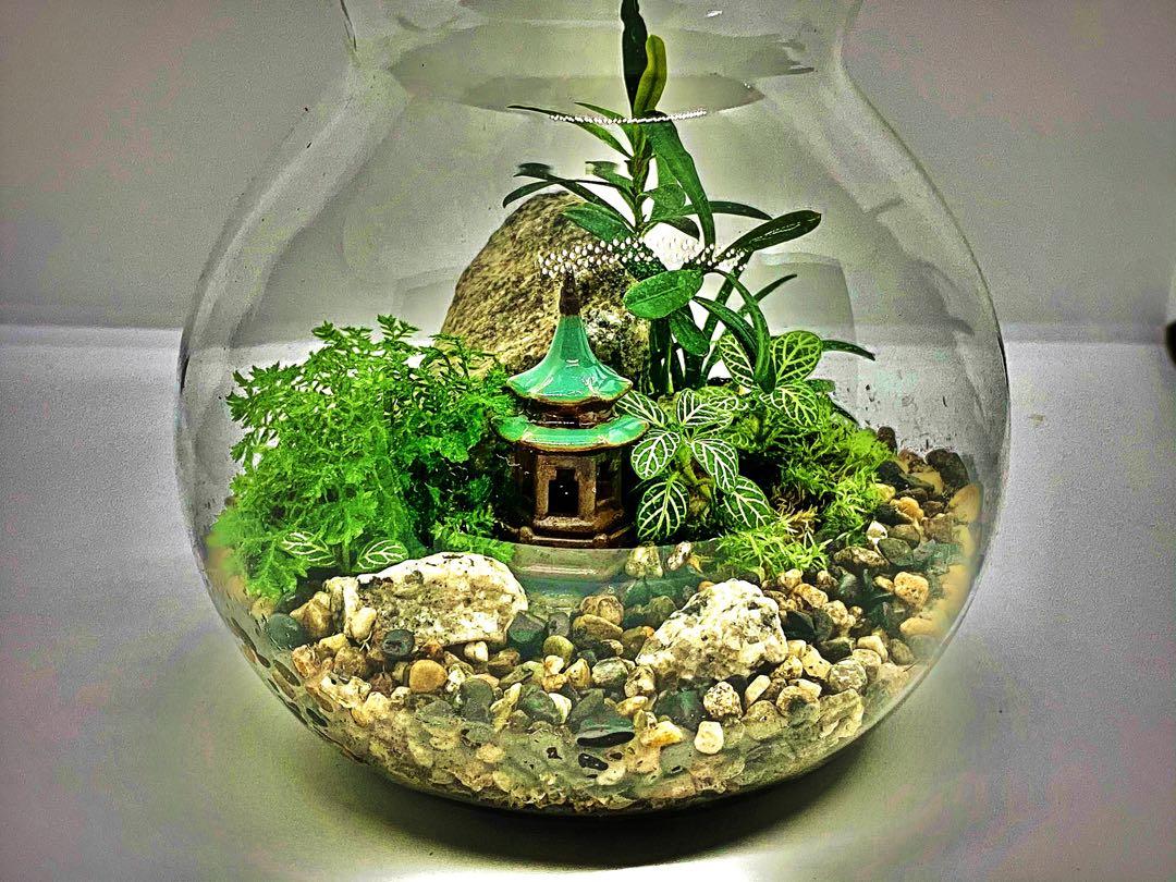 Chinese Pagoda Terrarium, Furniture & Home Living, Home Decor ...