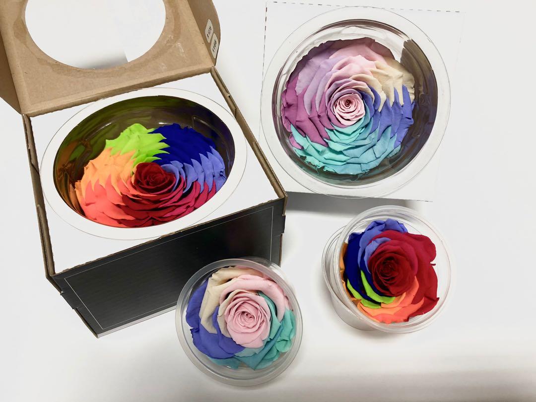 Lee Flora Preserved and Dried Flowers Whoy, Hobbies & Toys, Stationery ...