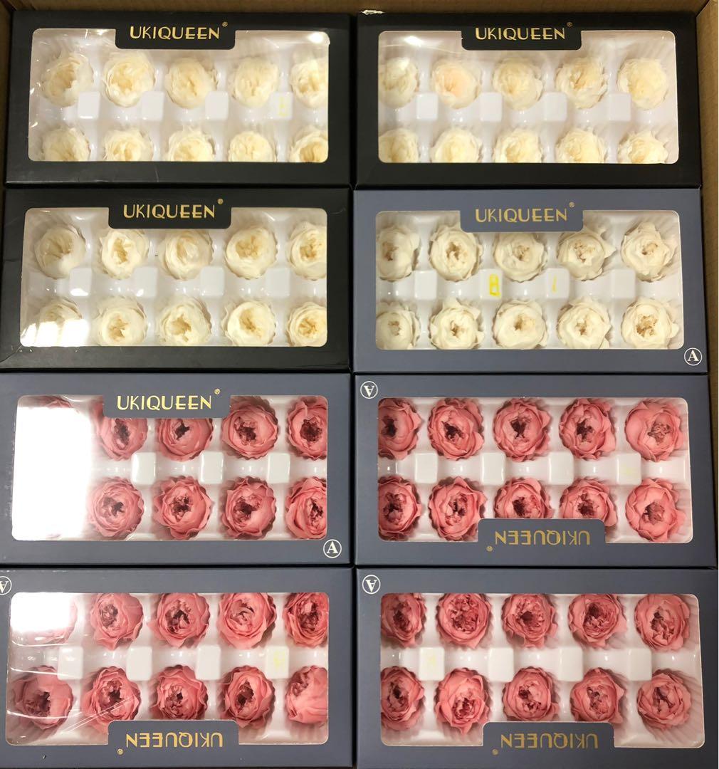 Lee Flora Preserved and Dried Flowers Whoy, Hobbies & Toys, Stationery ...