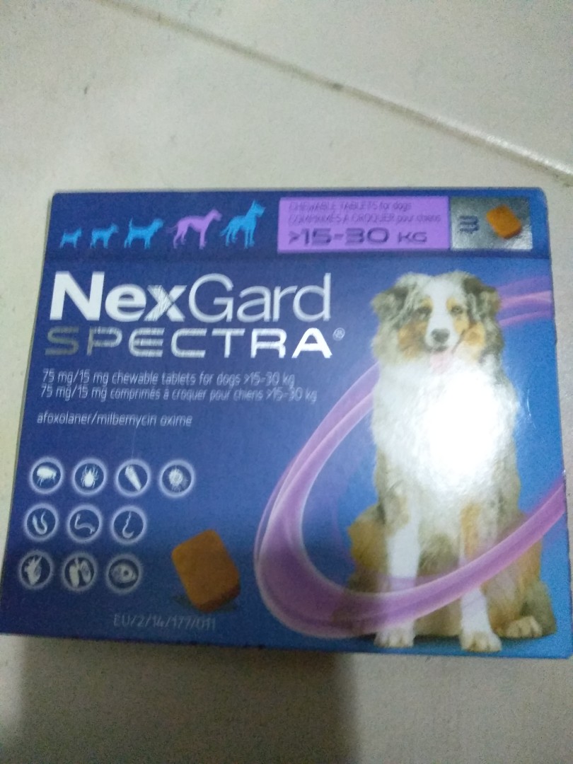 Nexguard spectra - 15-30 Kg, Pet Supplies, Pet Food on Carousell