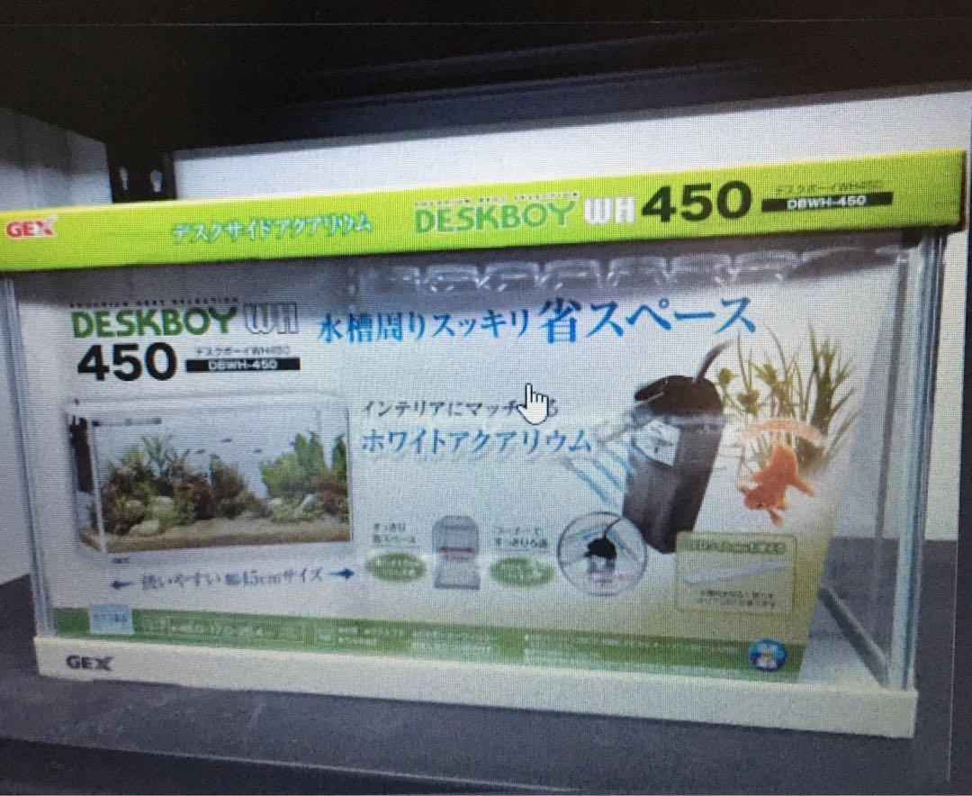 White Gex DeskBoy, Hobbies & Toys, Memorabilia & Collectibles, Currency on Carousell