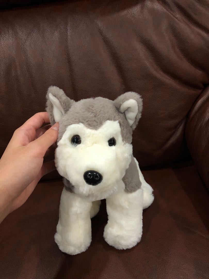 Miniso Wolf Dog Stuffed Animal, Hobbies & Toys, Toys & Games on Carousell