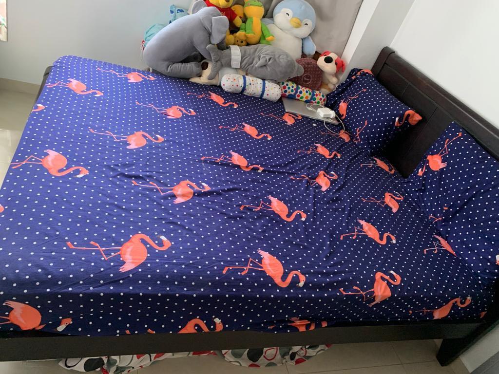 Queen used bed with mattress, Furniture & Home Living, Furniture, Bed ...