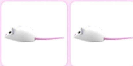 Roblox adopt me mouse chew toy, 電子遊戲, 遊戲機配件, 遊戲週邊商品 - Carousell