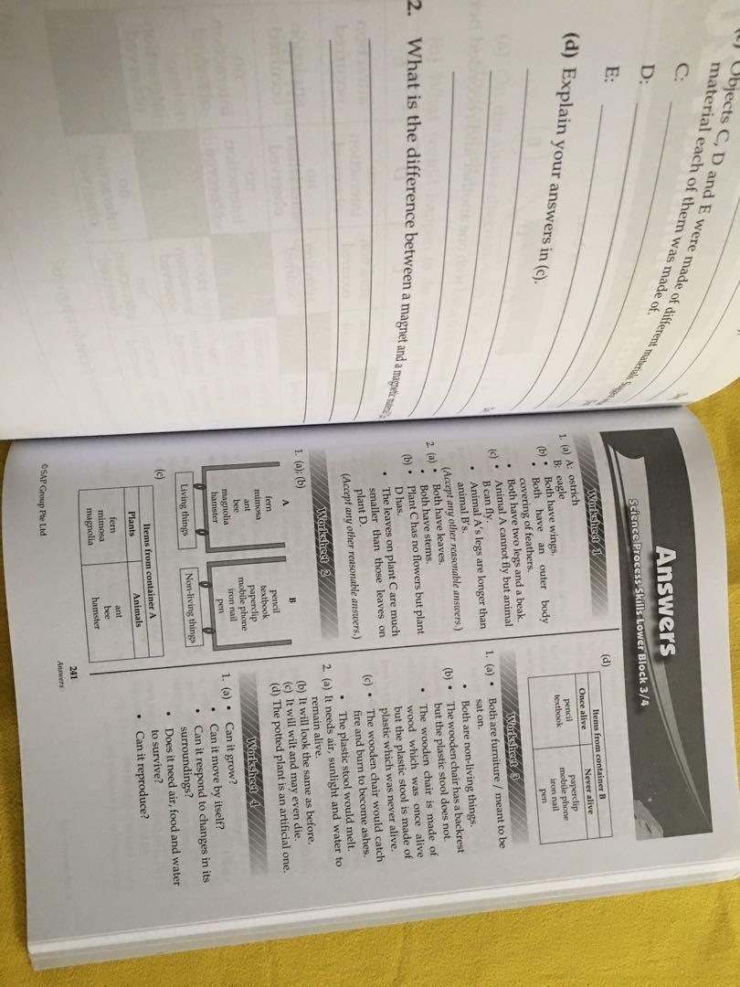 Science Process Skills 3 & 4 Activity Book with Answer Key- New ...